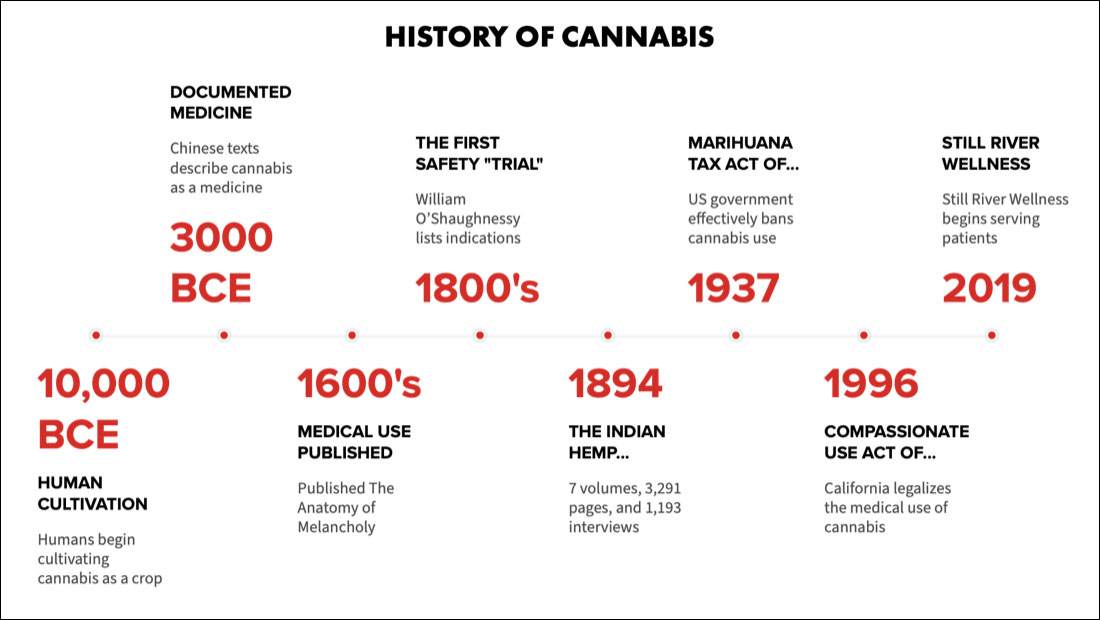 Cannabis 101 - Still River Wellness